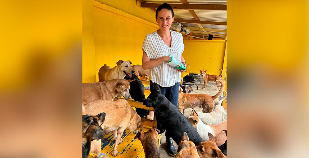 Fundación Perros Sin Nombre cumple 6 años de dar refugio y amor a ...