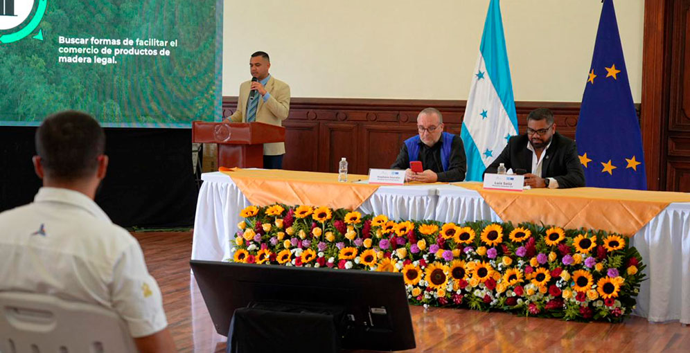 ICF y la UE trazan hoja de ruta para afianzar la gobernanza forestal en ...