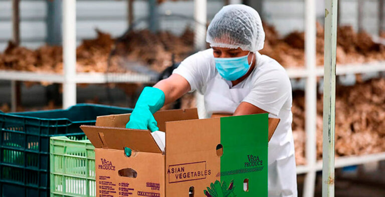 Mantienen expectativa de firmar este año TLC con China
