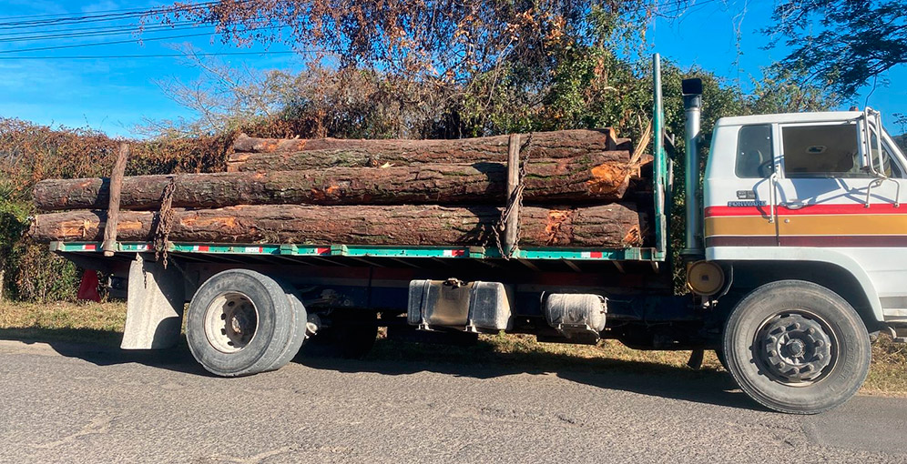 Militares decomisan camiones con madera extraída en subcuenca