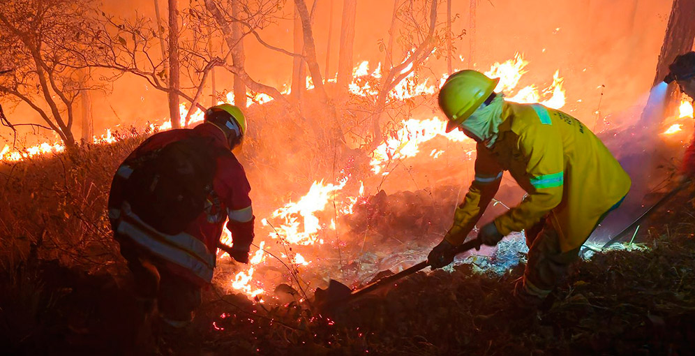Incendios forestales dañan más de 23 mil hectáreas de bosque