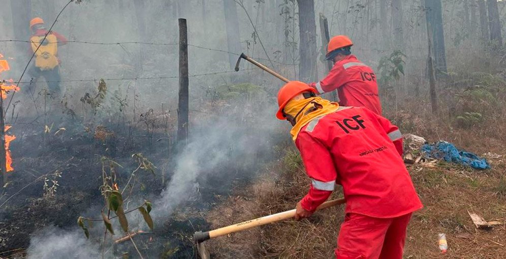 Unos 740 incendios dañan casi 25 mil hectáreas de bosque
