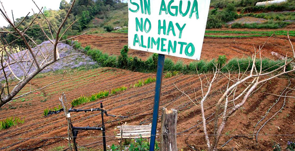 Invierno tardío confunde a productores de granos