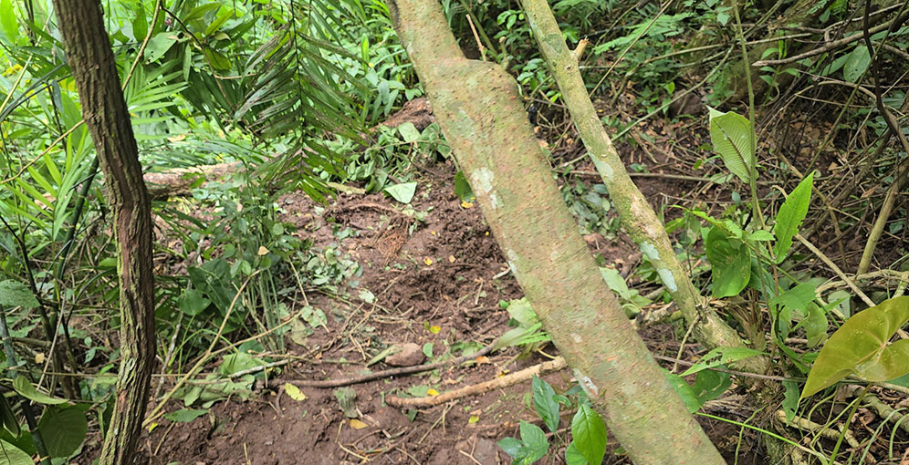 Hallan cadáver de mujer sepultado en una finca