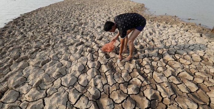 'El Niño' y 'La Niña' alteran el equilibrio de los ecosistemas marinos ...