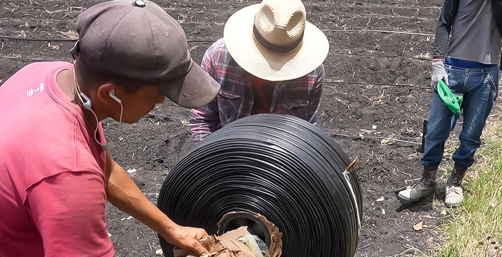 SAG avanza en diseño de sistema de riego para irrigar 10 mil hectáreas
