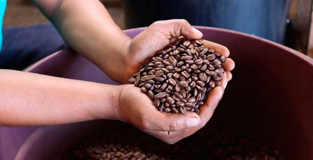 Comayagua aporta cerca del 30 % de las exportaciones de café de Honduras