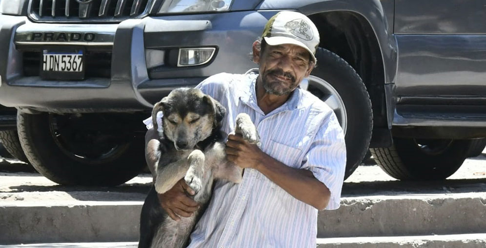 Vacunarán contra la rabia a perros y gatos