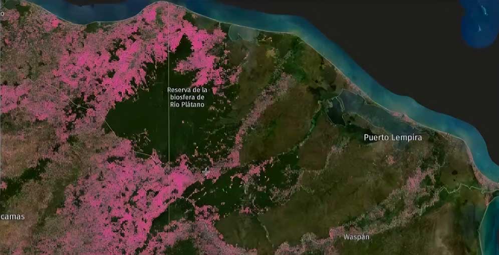 Aceleradas destrucción en la Biosfera del Río Plátano