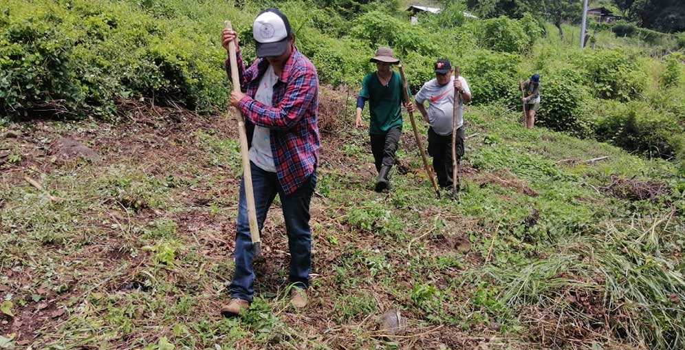Cenaos alerta: Honduras enfrentará larga canícula