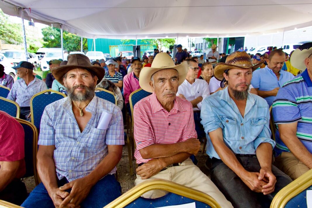 AMDC y SAG entregan incentivos agrícolas a 240 productores del Distrito ...