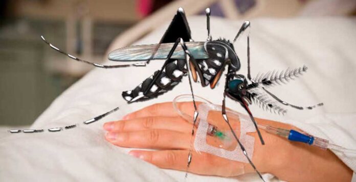 Alerta roja: Dengue sigue cobrando más vidas