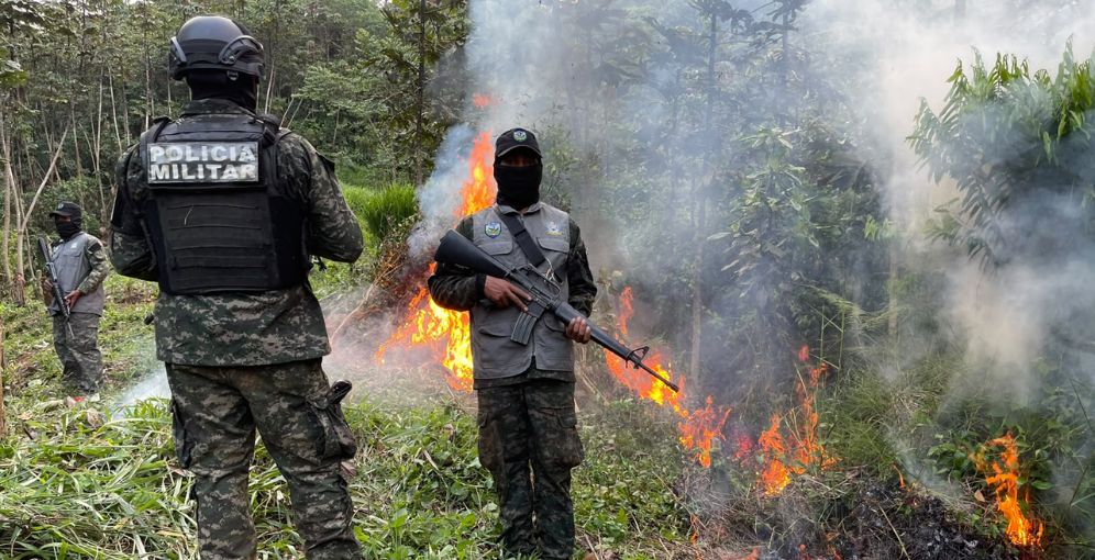 Fuerzas Armadas y DLCN erradican 20 mil 990 arbustos de hoja de coca en ...