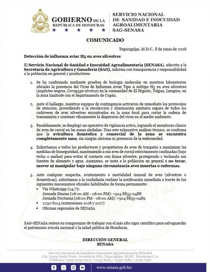 Confirman primer caso de influenza aviar en Honduras