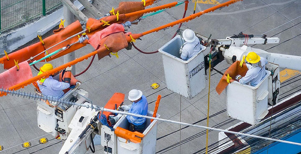 L1,484.5 millones fueron adjudicados en subasta de bonos ENEE a tasa de ...